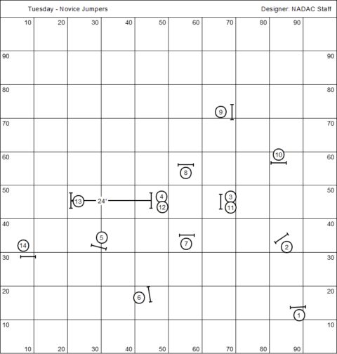 NADAC Championships | NADAC