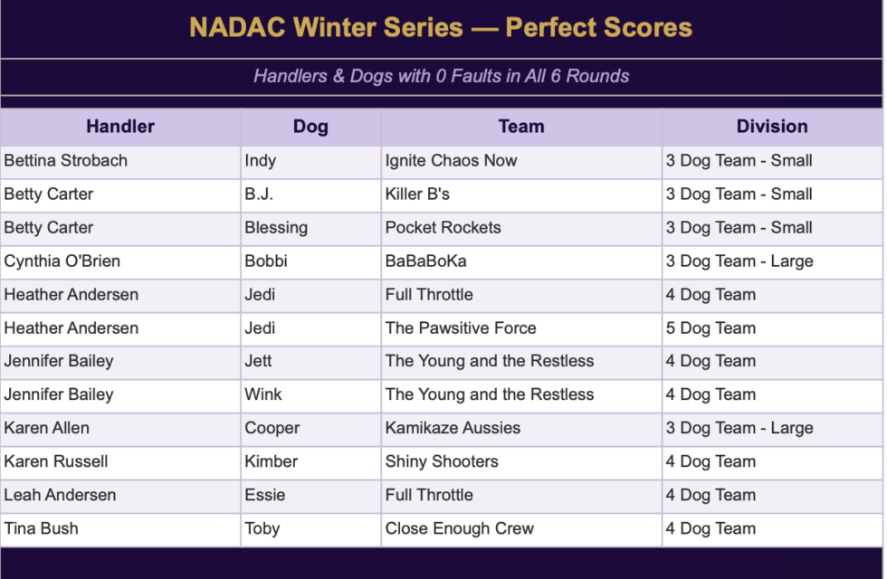 Team Series | NADAC